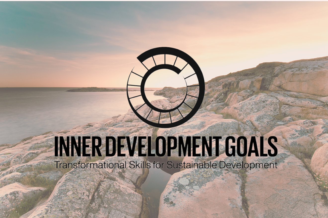 Inner Development Goals | Sociale InnovatieFabriek